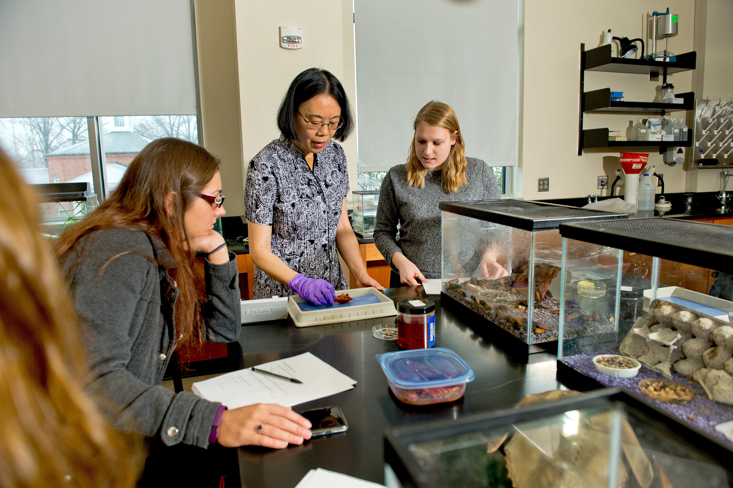 Mount Union Biology Degree | University of Mount Union